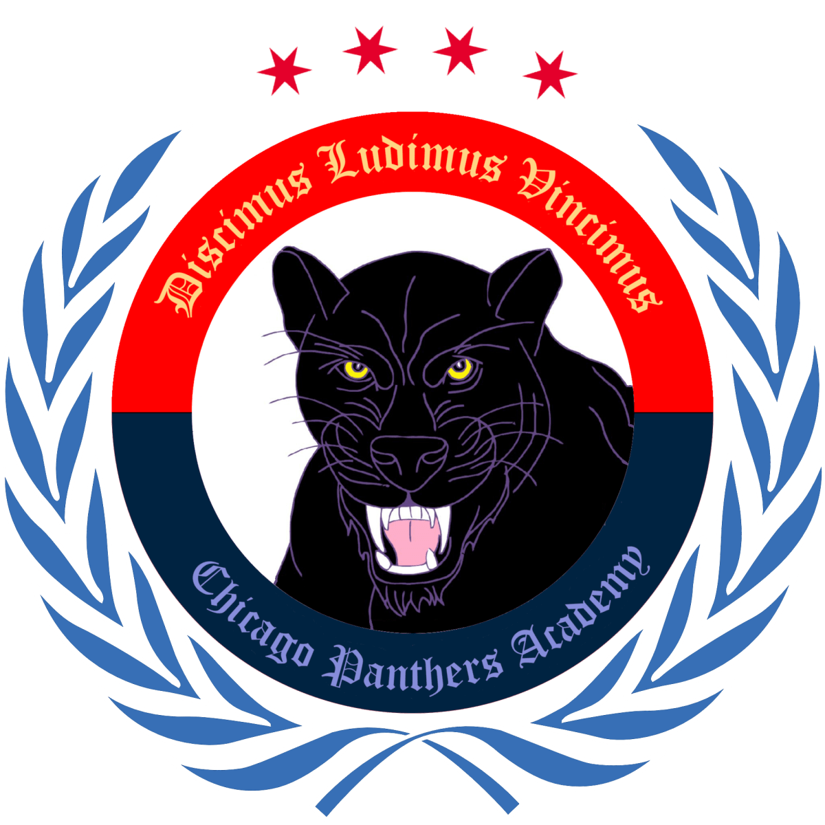 Fun with Cricket 2024 – Chicago Panthers